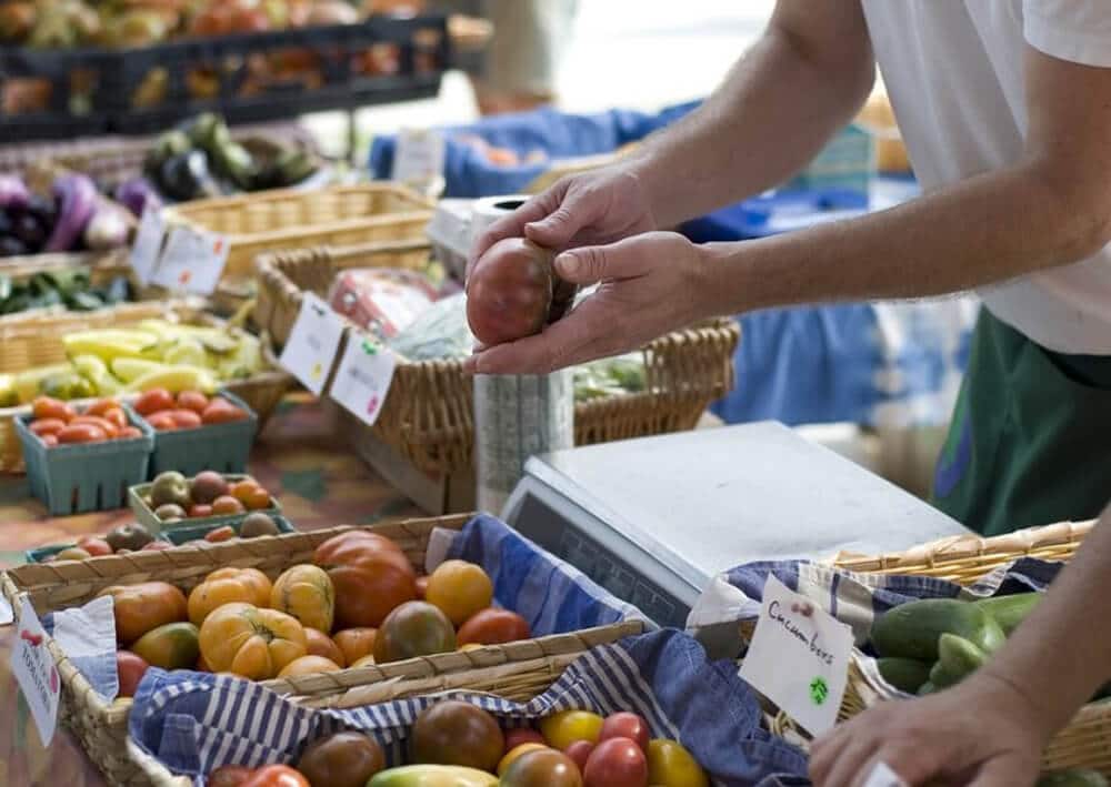 How to Reduce Your Carbon Footprint in 7 Steps - Caja de Botin